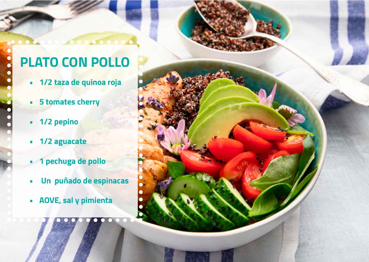 4 Platos Harvard completos y equilibrados - Sakai