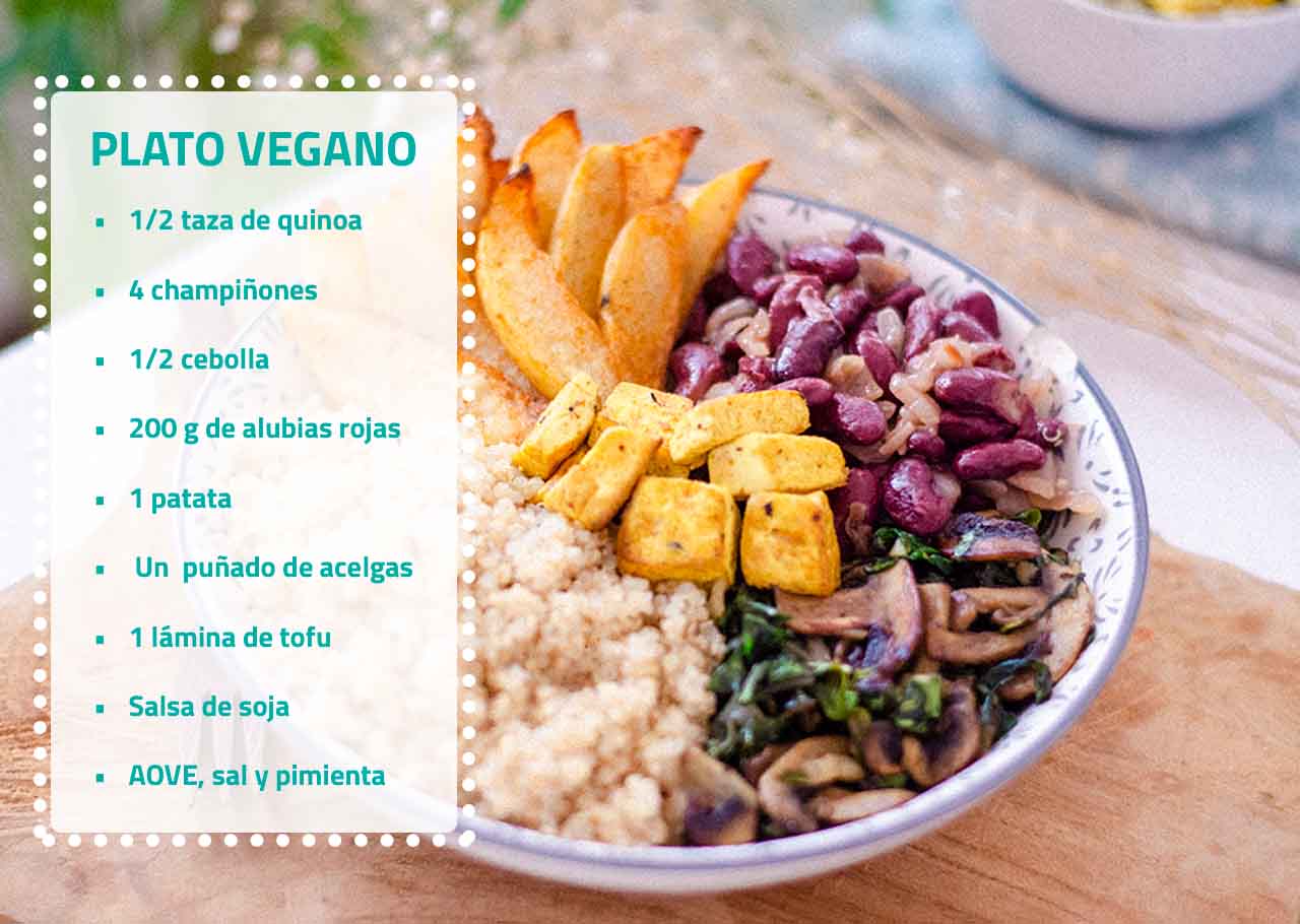 4 Platos Harvard completos y equilibrados - Sakai