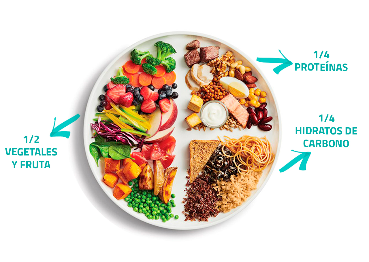 El plato Harvard, el secreto para una dieta equilibrada | Sakai - Sakai